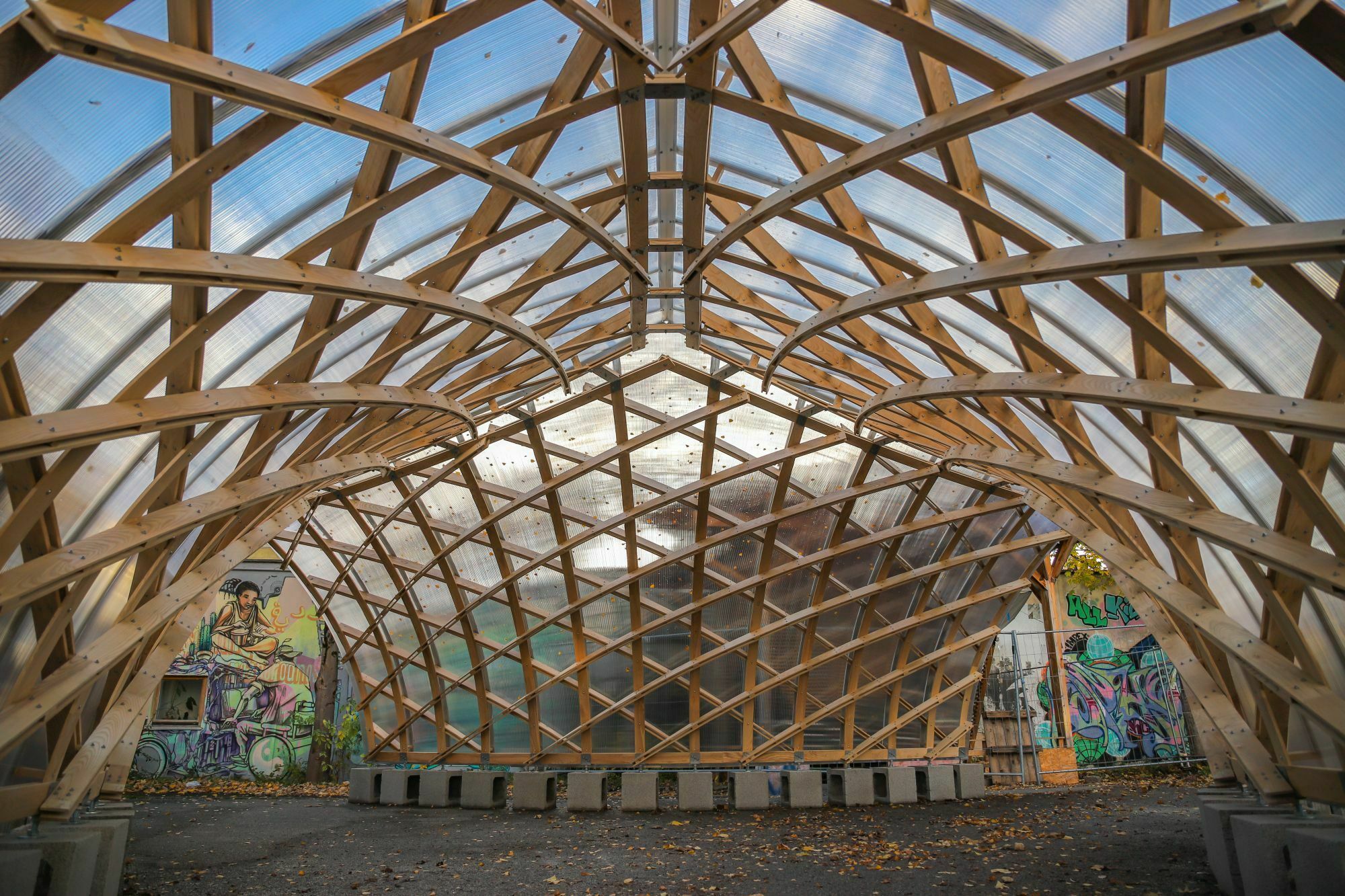 „Asymptotic Geodesic Timber Vault“: Gitterschalen mal einfach - News - BauNetz CAMPUS