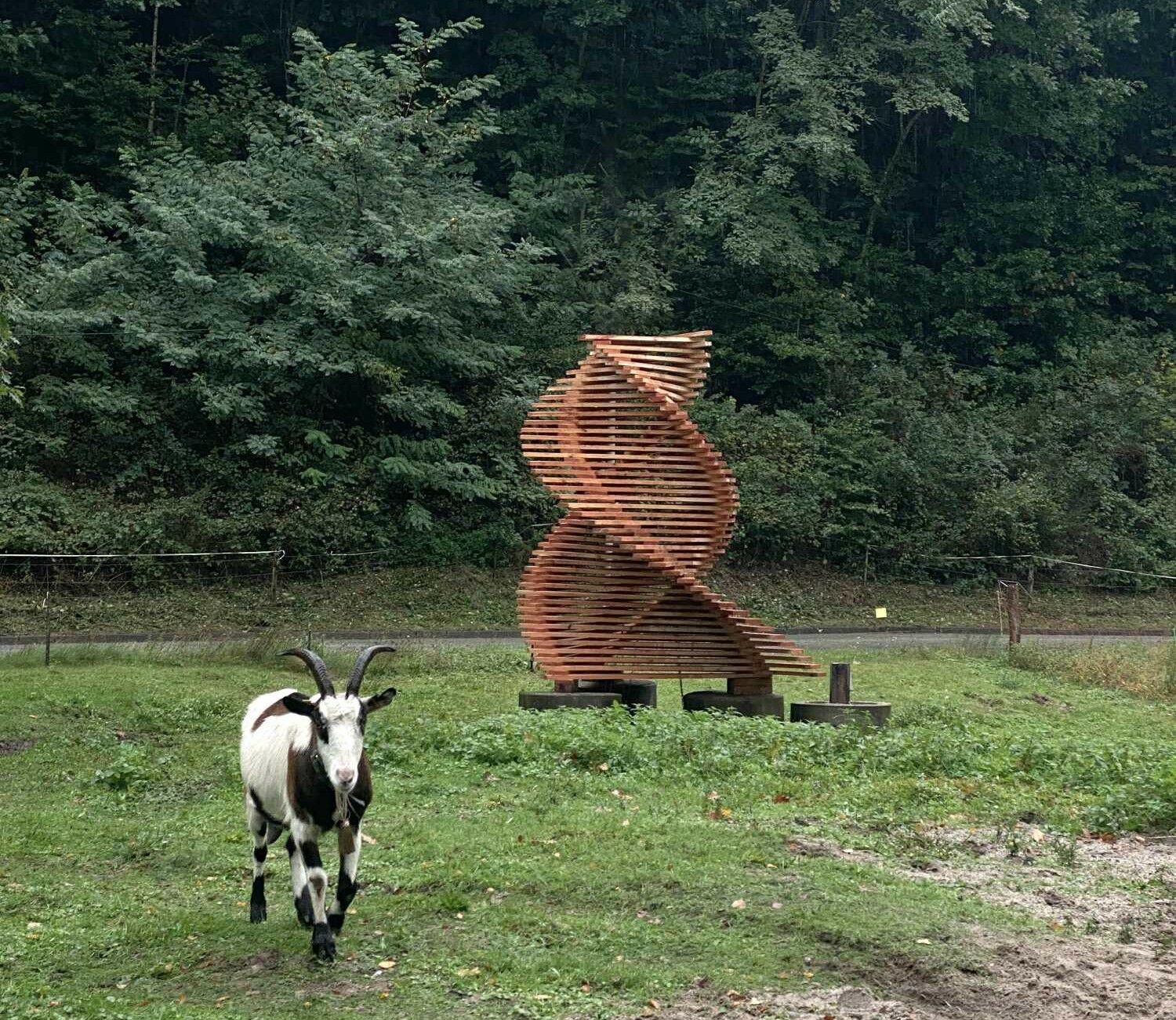 Ein Kletterturm für Ziegen – Vom Wettbewerb zum DesignBuild - News ...